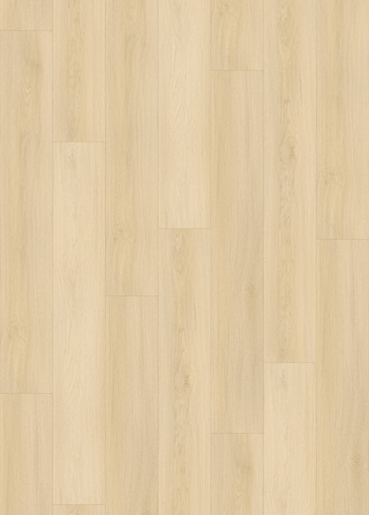CR2200 Maple Whip – Inspireum Singapore